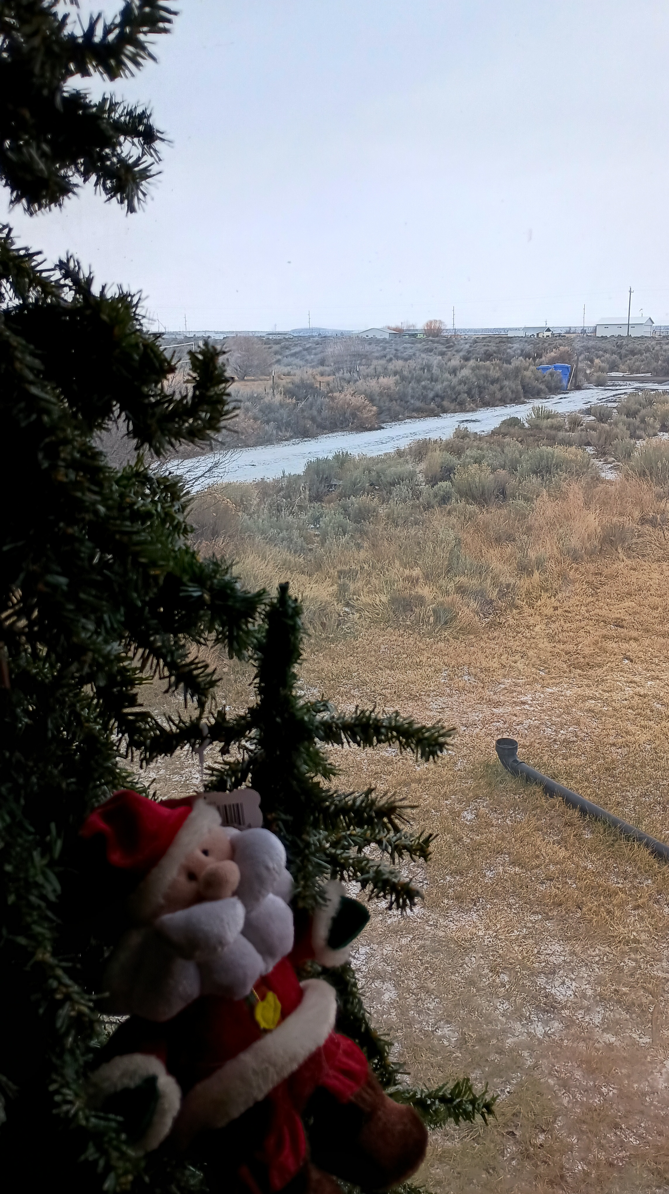 Just Jot it January, Nature | Darswords